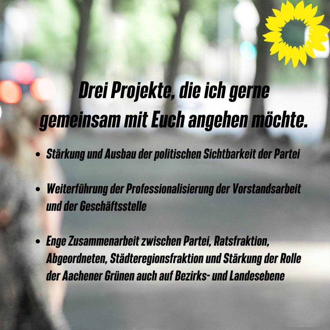 Philipp Noack – Sprecher der Grünen Aachen